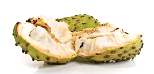 Atemoia - Revista dos Vegetarianos